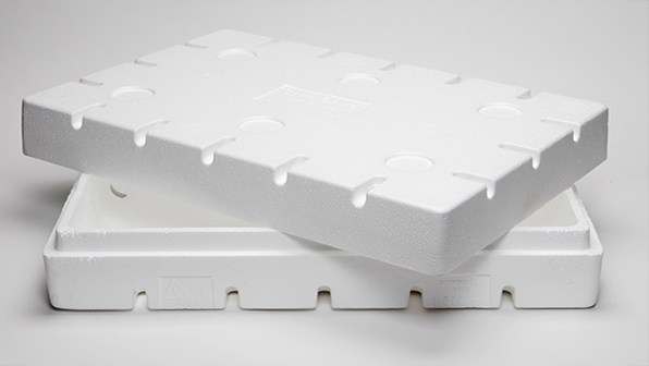 Styrotek packaging system protects grapes, prolongs storage time ...