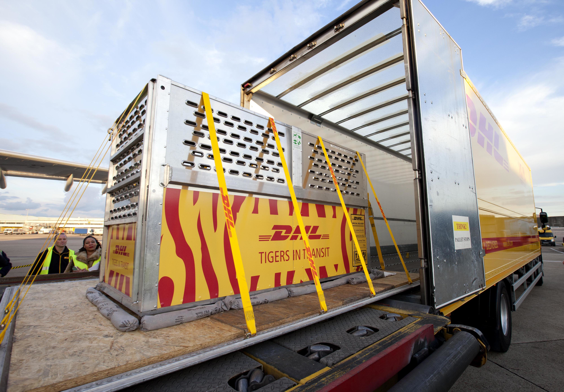 DHL and the unusual side of freight | FleetOwner