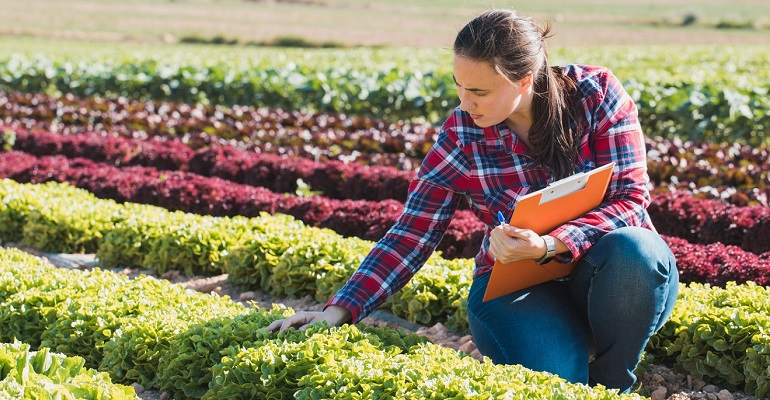 New guidance opens alternate produce safety training | FleetOwner